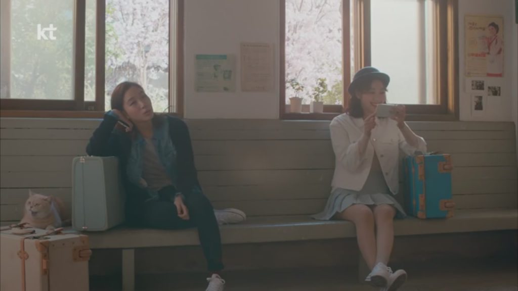 KT Y24 요금제 3시간 무제한 편 – WowPet